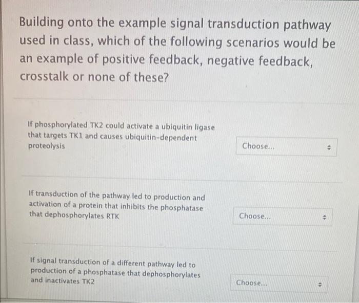 Solved Building onto the example signal transduction pathway | Chegg.com