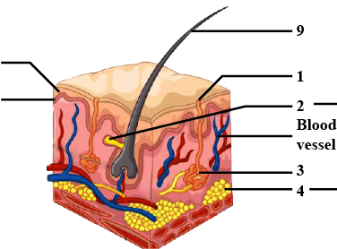 Solved please label all parts correctly | Chegg.com
