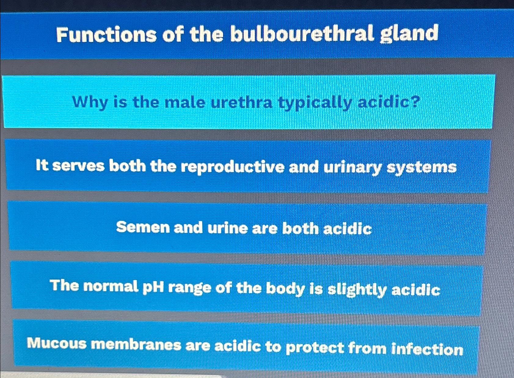 Solved Functions of the bulbourethral glandWhy is the male | Chegg.com