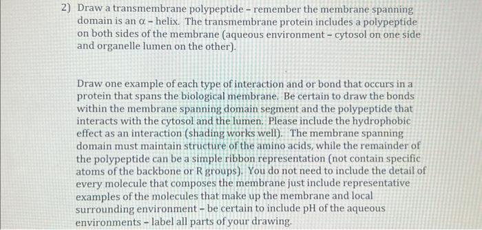 Draw a transmembrane polypeptide - remember the | Chegg.com