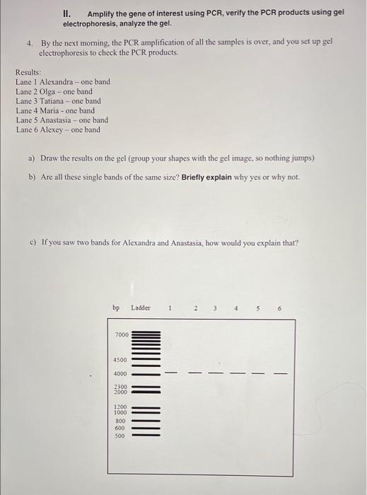 Solved I. Create the primers to amplify the gene of | Chegg.com