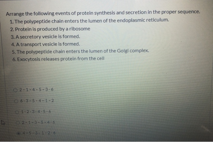 Solved Arrange the following events of protein synthesis and | Chegg.com