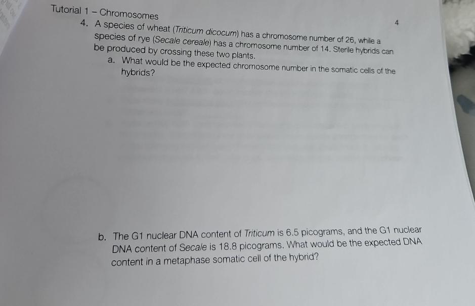 Solved Tutorial 1 - ﻿Chromosomes4. ﻿A species of wheat | Chegg.com