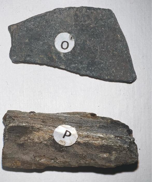 Solved 2000( )1. A possible protolith for Sample M is: a. | Chegg.com