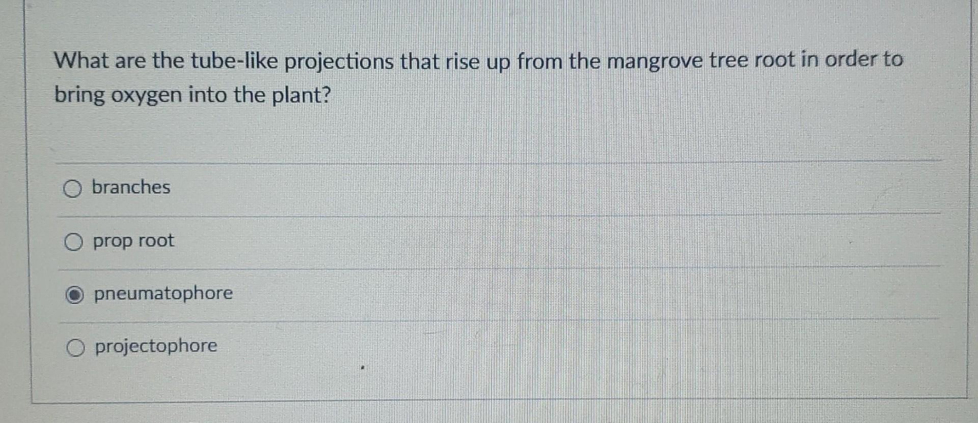 Solved What are the tube-like projections that rise up from | Chegg.com