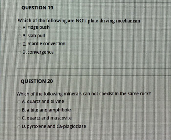 Solved QUESTION 19 Which of the following are NOT plate | Chegg.com