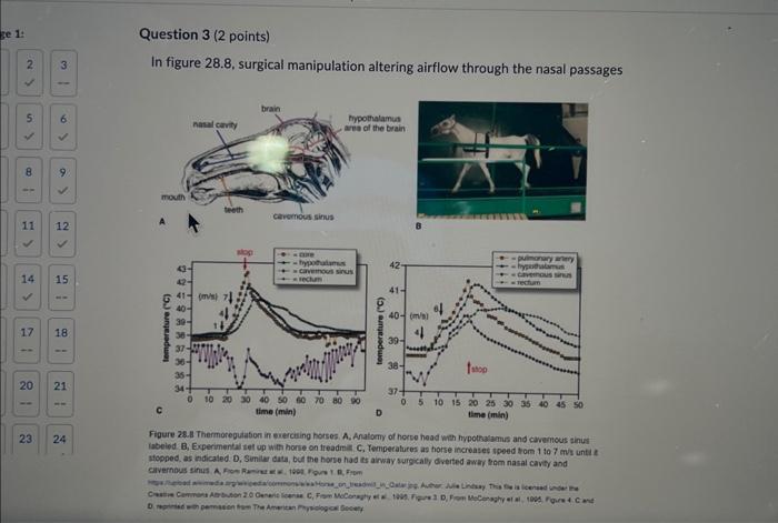 Solved In figure 28.8 , surgical manipulation altering | Chegg.com