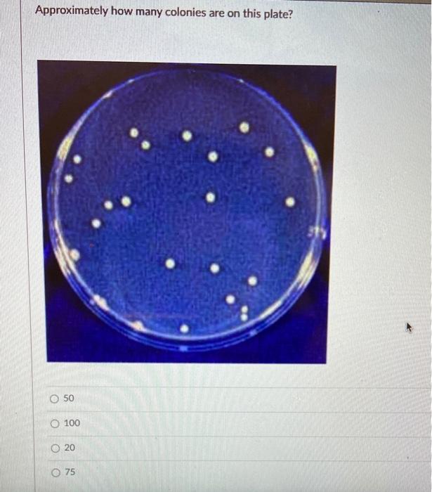 Solved Approximately how many colonies are on this plate? e | Chegg.com