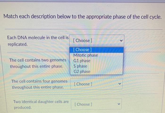 Solved Match each description below to the appropriate phase | Chegg.com