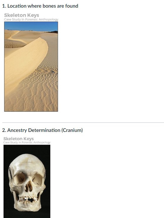 1. ﻿Location where bones are foundSkeleton KeysCase | Chegg.com