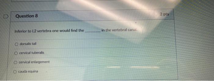 Solved D Question 13 2 pts MATCHING - vertebrae | Chegg.com