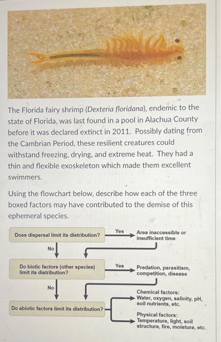 Solved The Florida fairy shrimp (Dexteria floridana), | Chegg.com