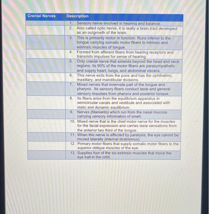 Solved Lab 6.3 Activity A. Identify the cranial nerves on a | Chegg.com
