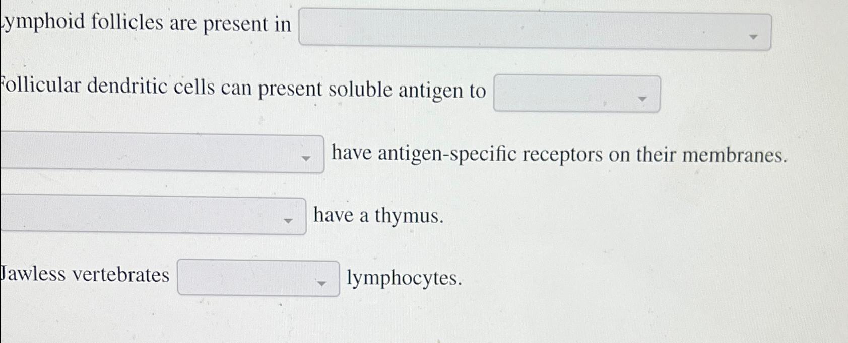 Solved ymphoid follicles are present inFollicular dendritic | Chegg.com