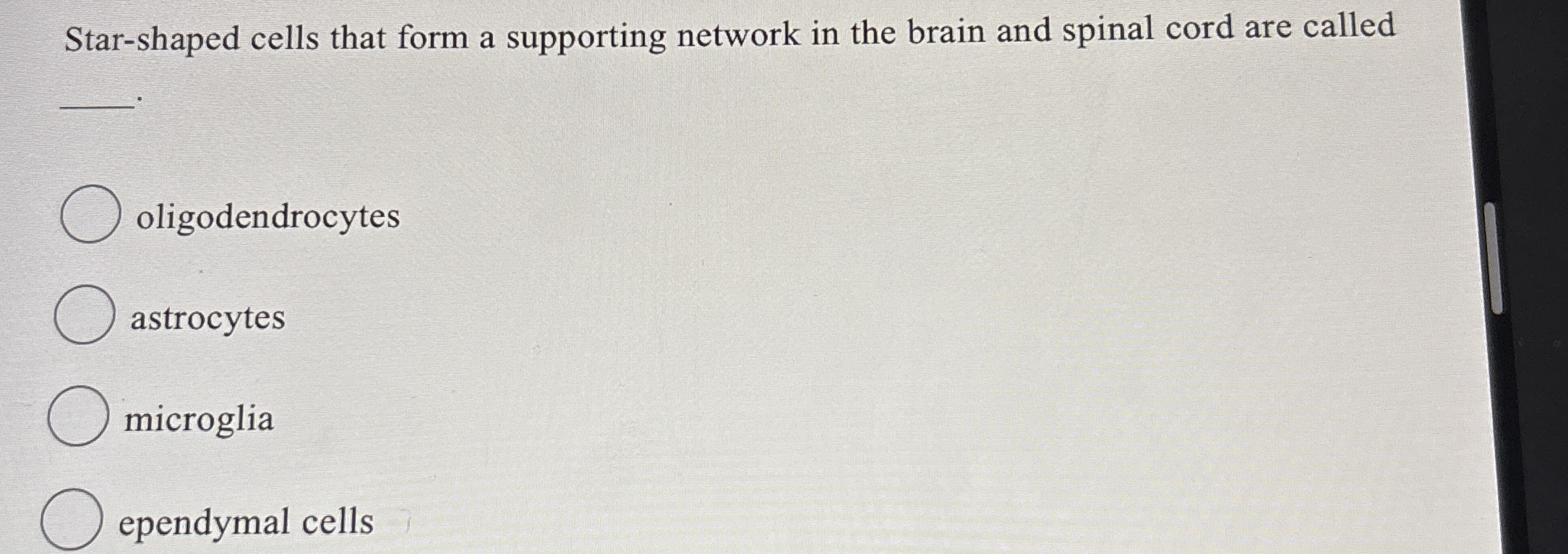 Solved Star-shaped cells that form a supporting network in | Chegg.com