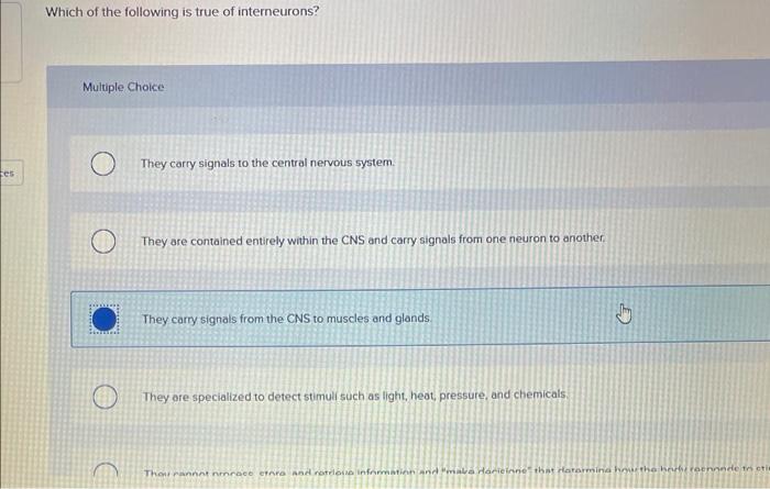 Solved Which of the following is true of interneurons? | Chegg.com