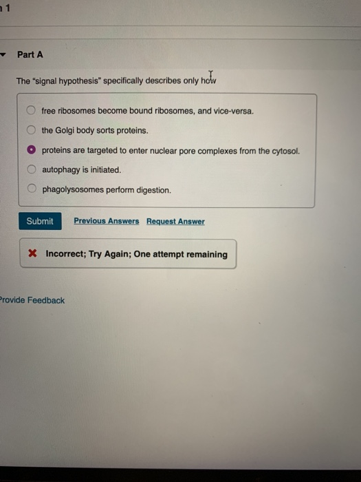 Solved 1 Part A The "signal hypothesis" specifically | Chegg.com