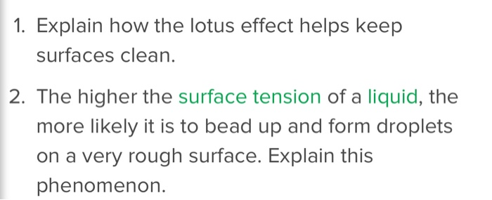 Solved 1. Explain how the lotus effect helps keep surfaces | Chegg.com
