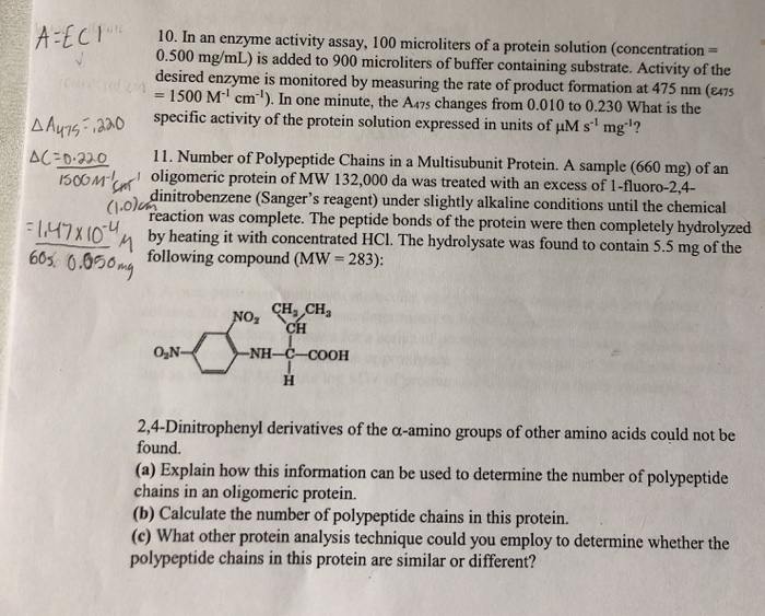 Solved (A=ECT 10. In an enzyme activity assay, 100 | Chegg.com