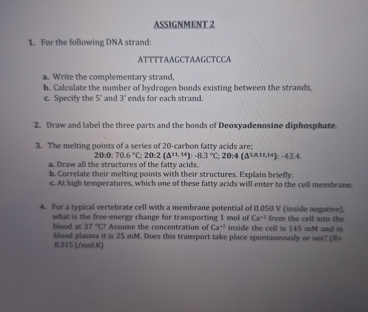 ASSIGNMENT 2For the following DNA | Chegg.com