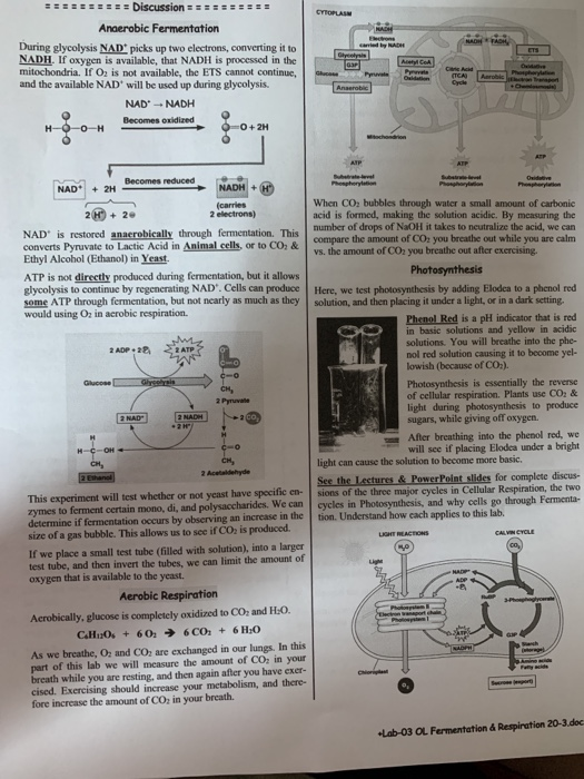 Solved 1. Phenol red changes color twice in the | Chegg.com