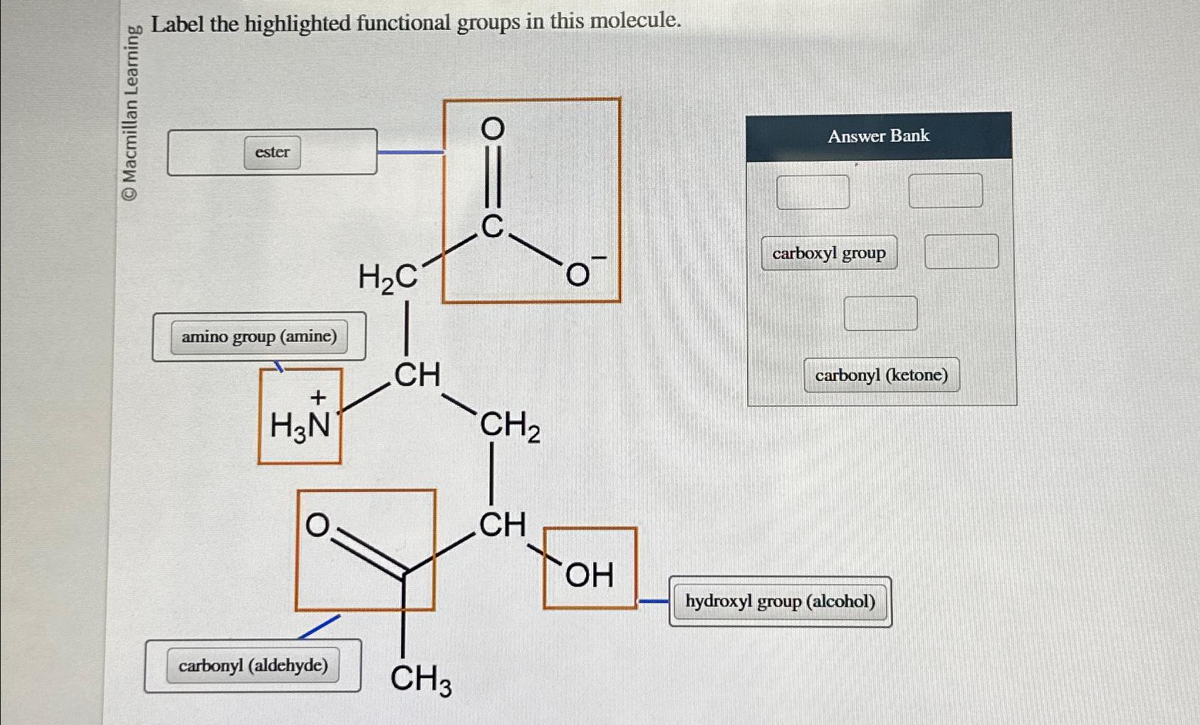 Solved Label the highlighted functional groups in this | Chegg.com