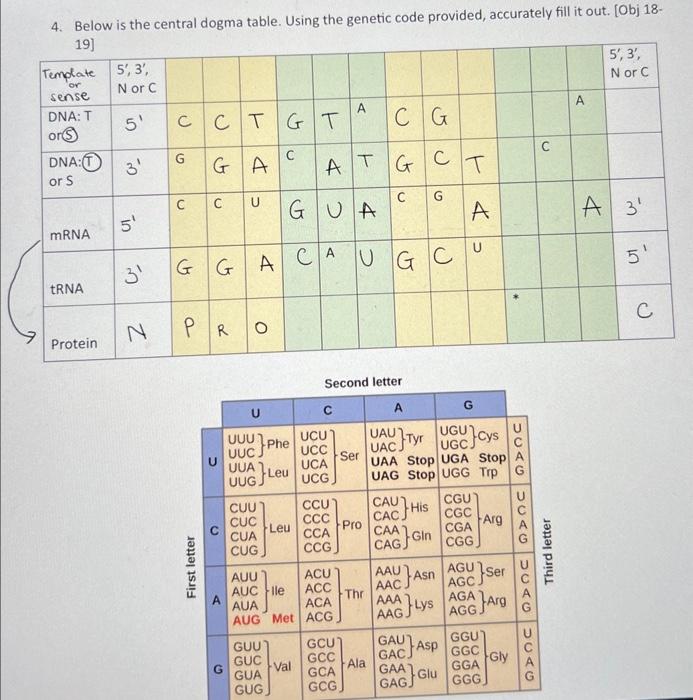 Solved 4. Below is the central dogma table. Using the | Chegg.com