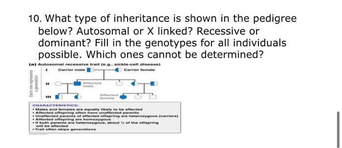 Solved 10. What type of inheritance is shown in the pedigree | Chegg.com