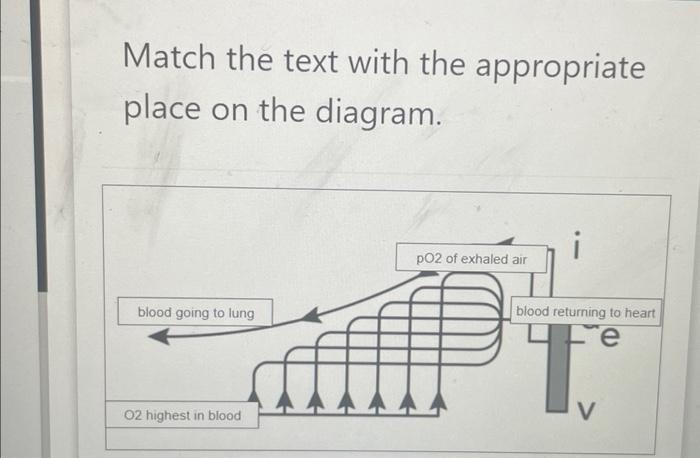 Match the text with the appropriate place on the | Chegg.com