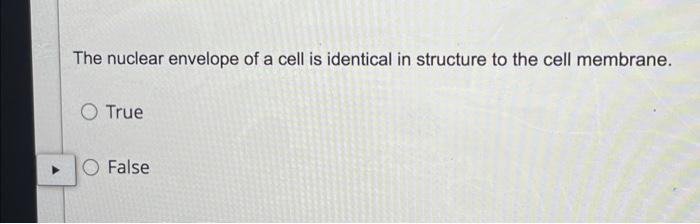 Solved The nuclear envelope of a cell is identical in | Chegg.com