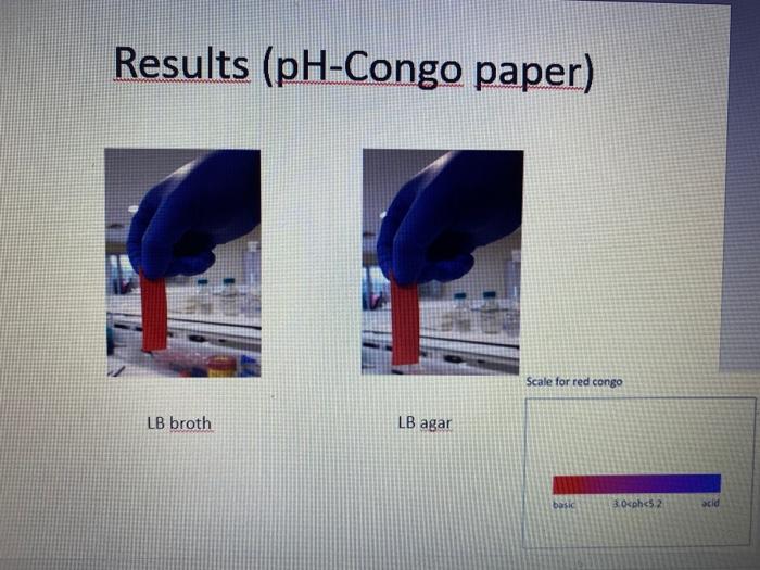 Solved Discussion Compare each pH measurement - What could | Chegg.com
