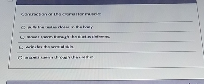 Solved Contraction of the cremaster muscle:q, ﻿pulls the | Chegg.com