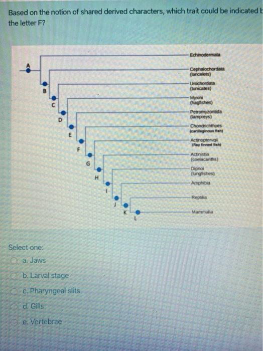 Solved Based on the notion of shared derived characters, | Chegg.com