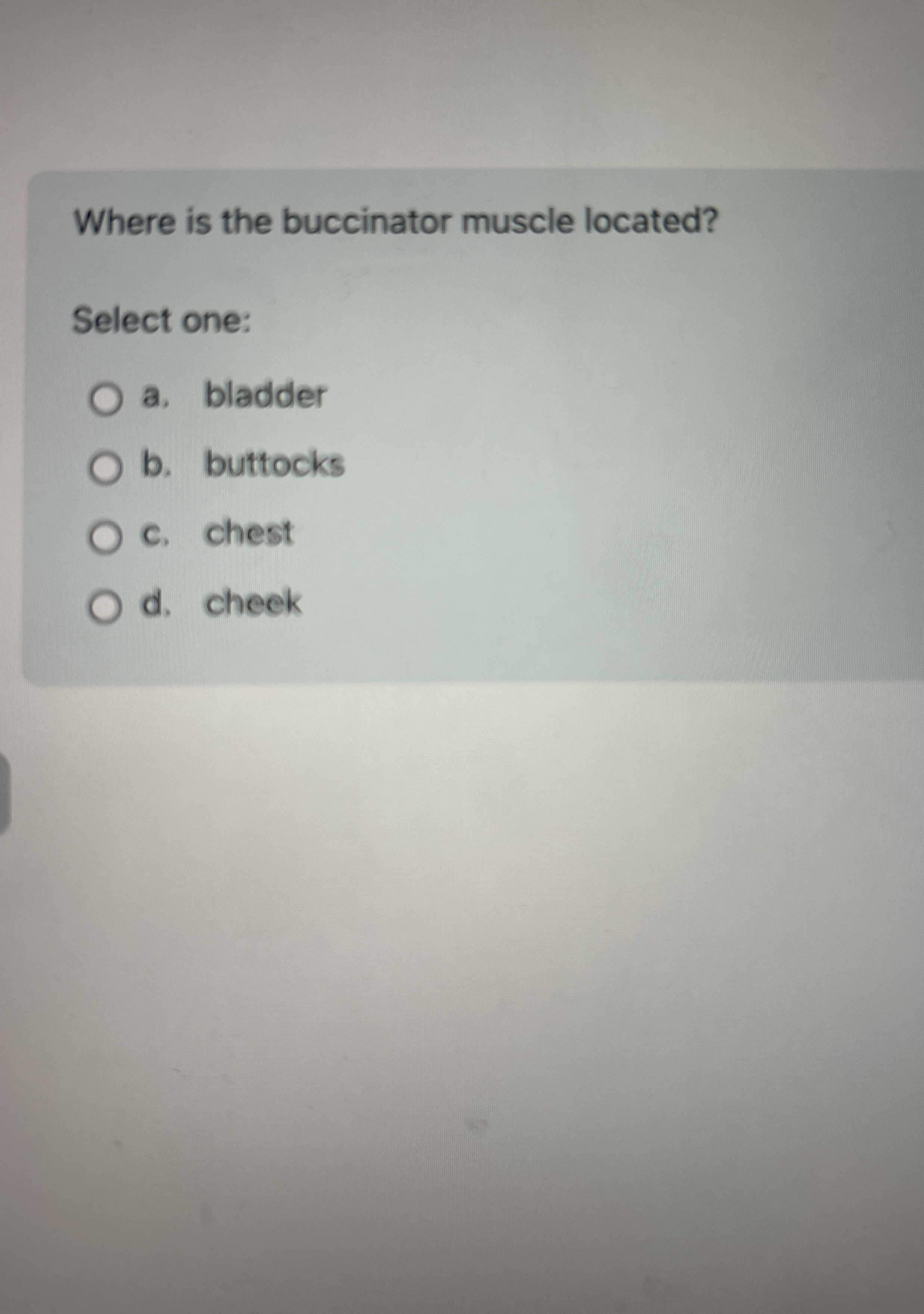 Solved Where is the buccinator muscle located?Select one:a. | Chegg.com