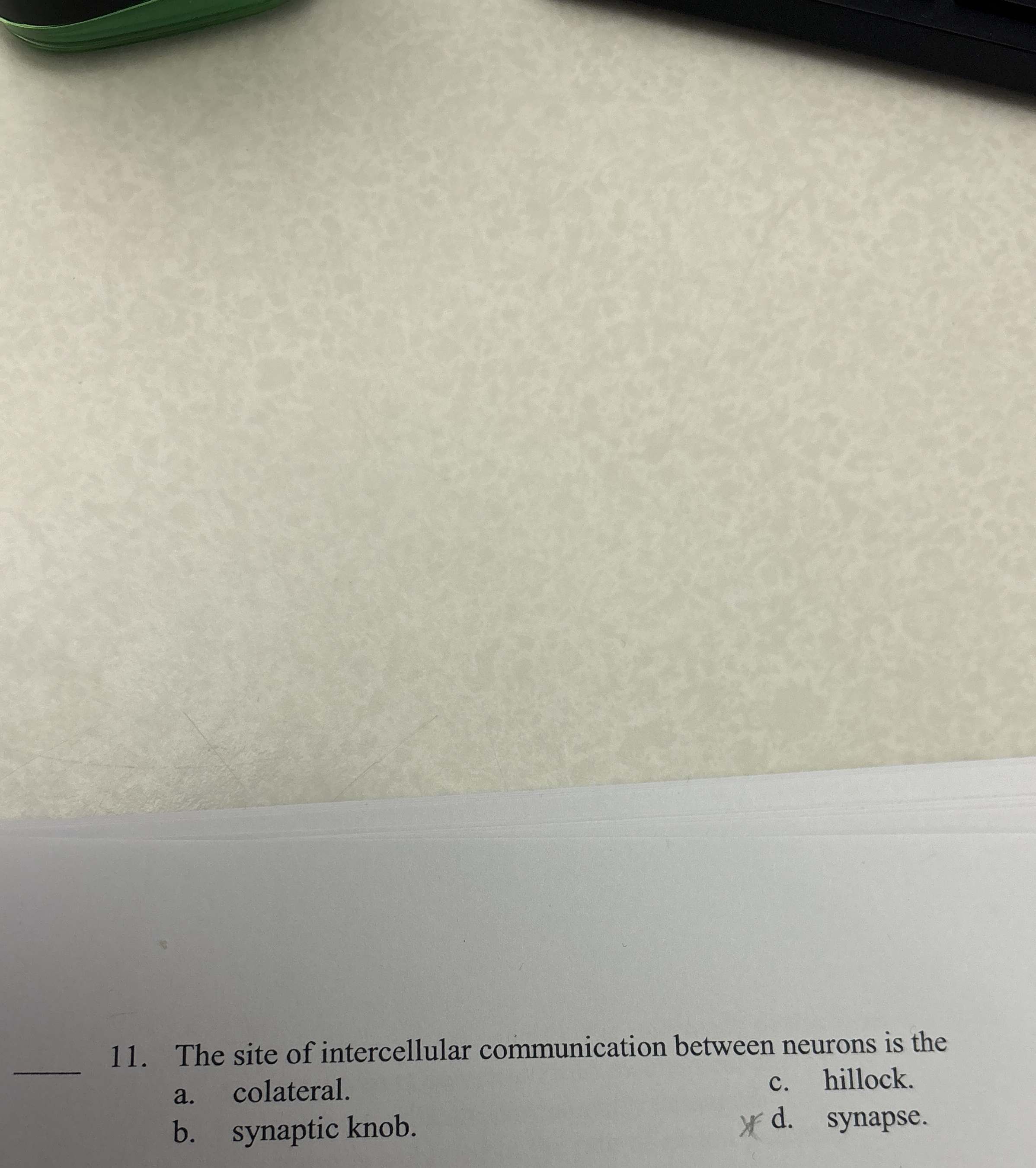 High Quality SOLUTION The site of intercellular communication between | Chegg.com