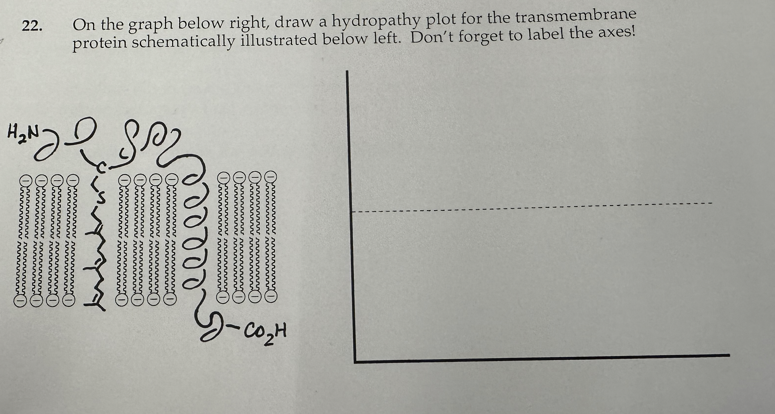 Solved How to solve On the graph below right, draw a | Chegg.com