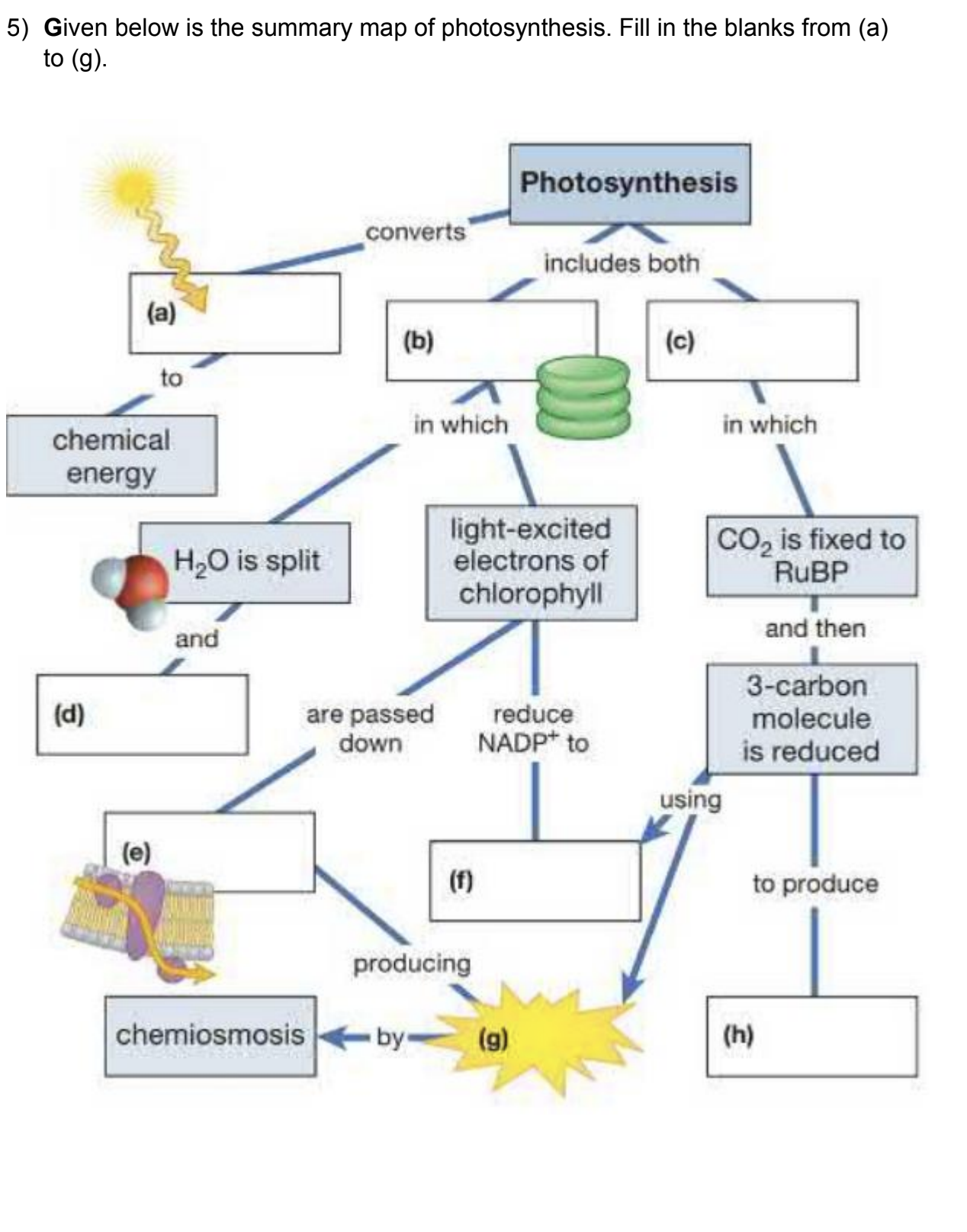 Solved Given below is the summary map of photosynthesis. | Chegg.com