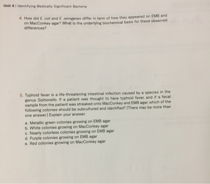 Solved Unit 4 | Identifying Medically significant Bacteria | Chegg.com