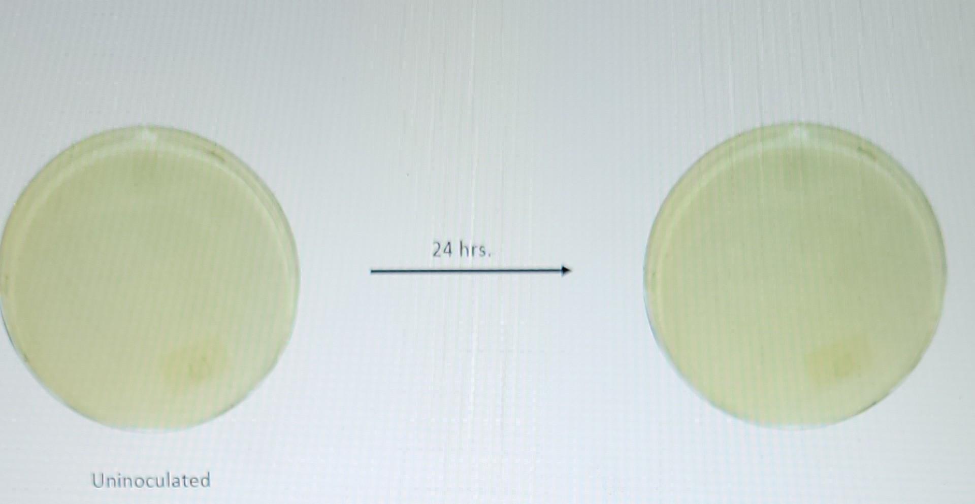Solved Mixed Unknown Identification Form Unknown 'Patient | Chegg.com