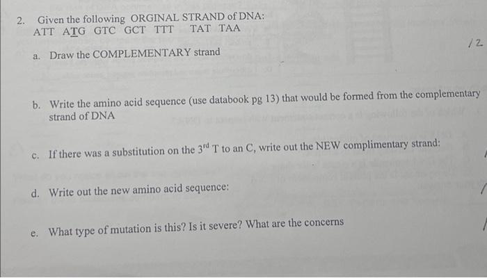 Solved 2. Given the following ORGINAL STRAND of DNA: ATT ATG | Chegg.com