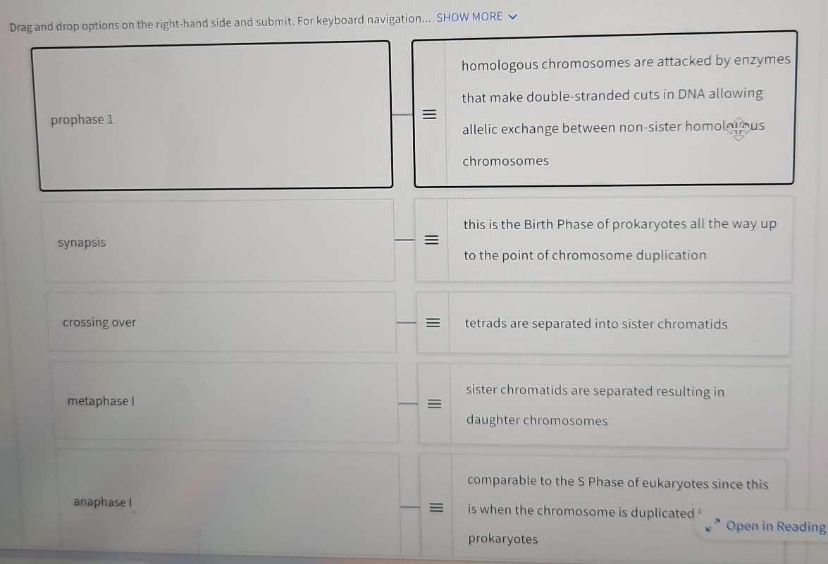 Solved Drag and drop options on the right-hand side and | Chegg.com