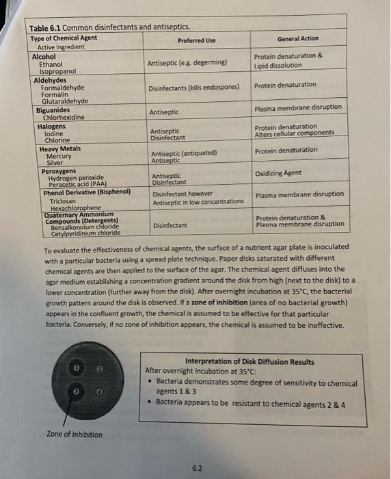 Solved Procedure 2: Evaluation of Disinfectants \& | Chegg.com