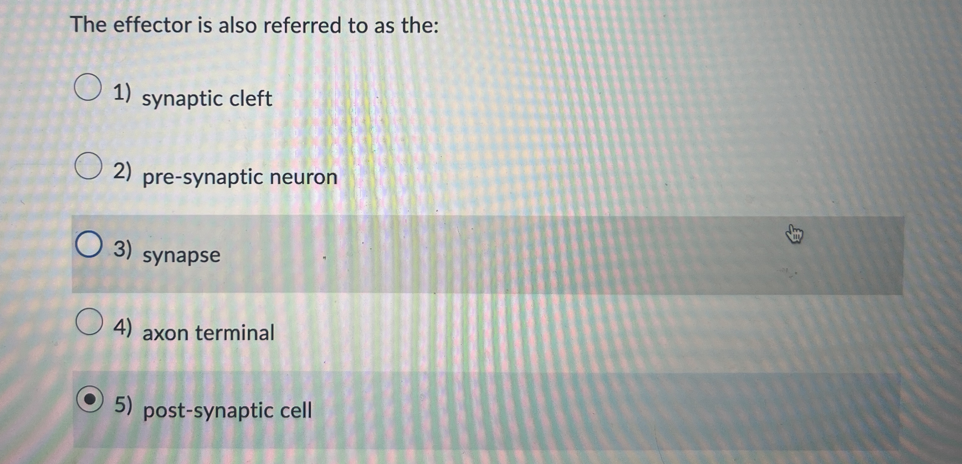Solved The effector is also referred to as the:synaptic | Chegg.com