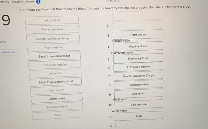 Solved am #4 - Heart Anatomy Complete the flowchart that | Chegg.com