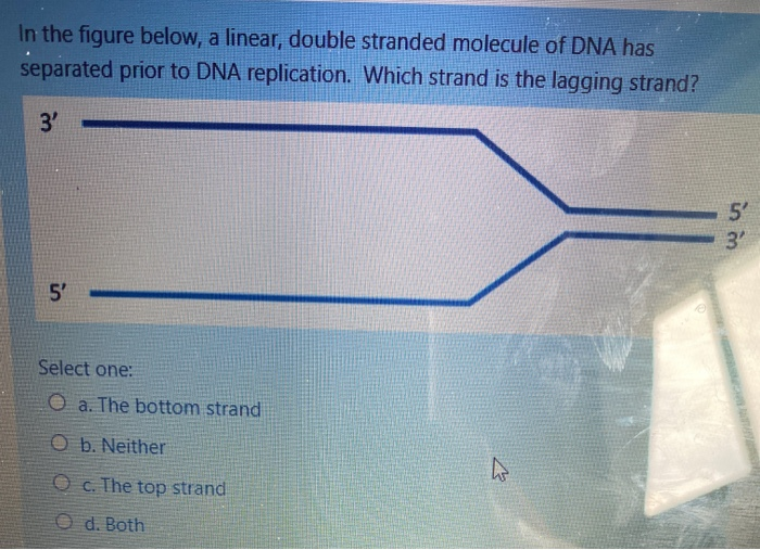 Solved In the figure below, a linear, double stranded | Chegg.com