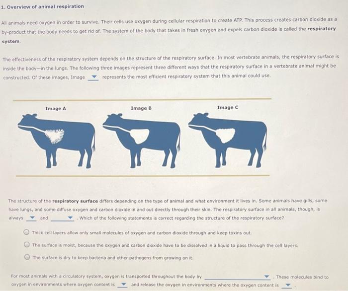 Solved 1. Overview of animal respiration All animals need | Chegg.com