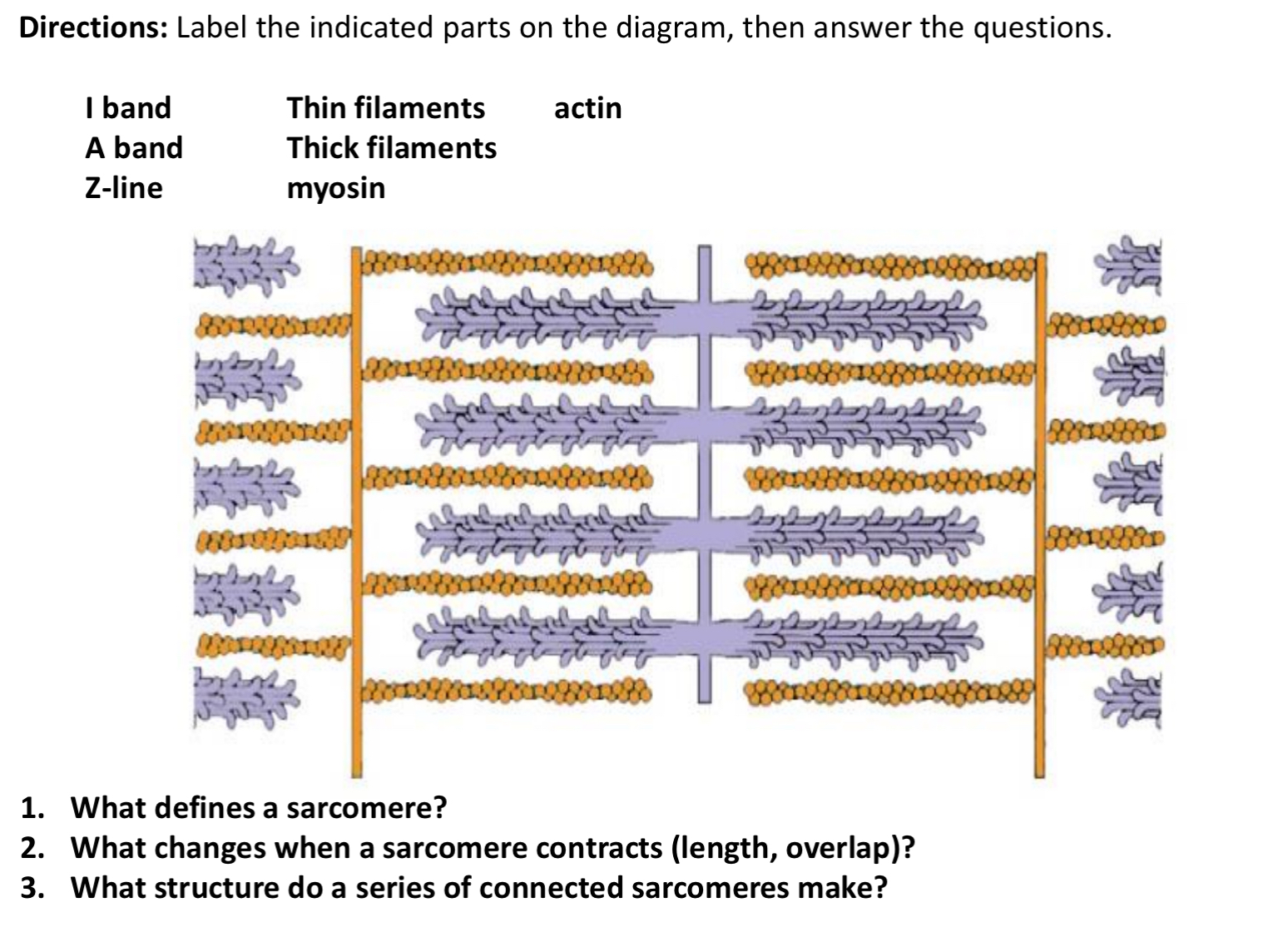 Solved Directions: Label the indicated parts on the diagram, | Chegg.com