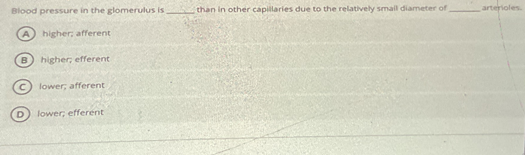 Solved Blood pressure in the glomerulus is q, ﻿than in other | Chegg.com