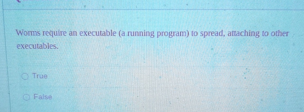 Solved Worms Require An Executable A Running Program ﻿to 0812