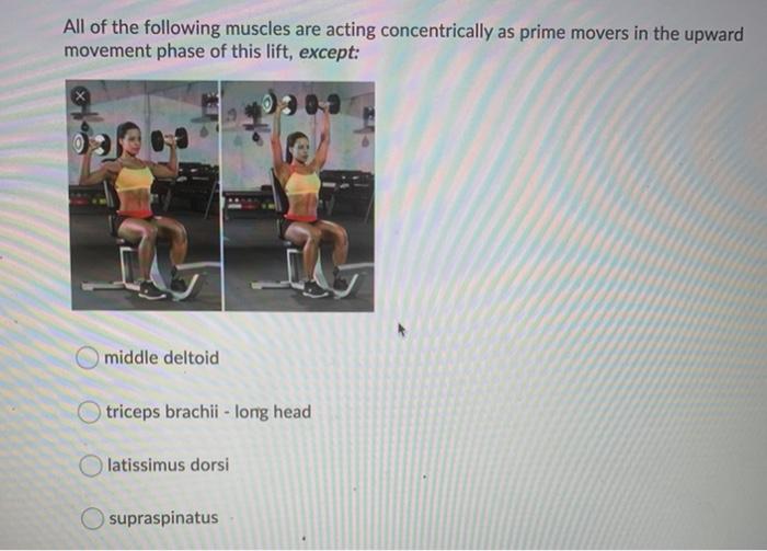 Solved How would you describe the propulsive phase of this | Chegg.com